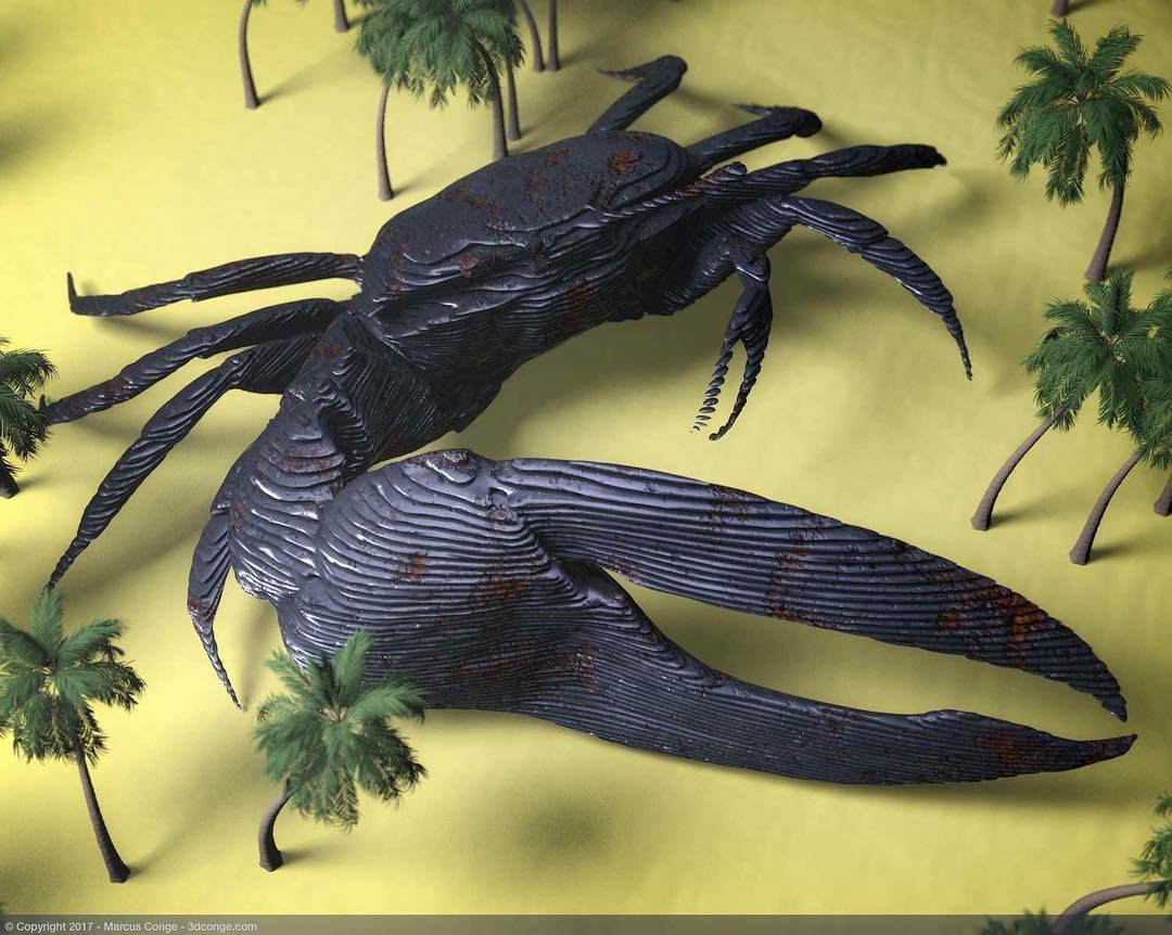 Fiddler Crab - Three D Scans