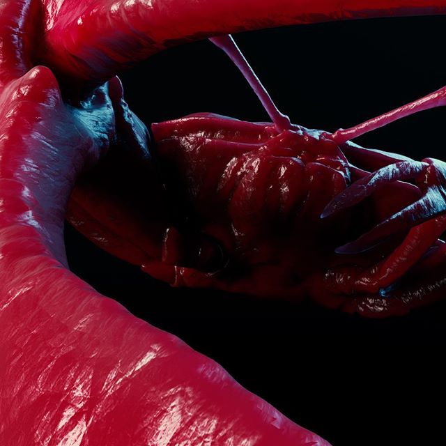Fiddler Crab - Three D Scans