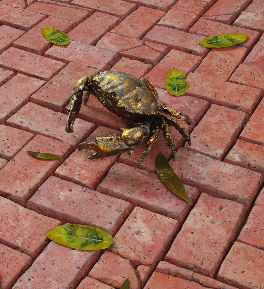 Dark Finger Reef Crab - Three D Scans
